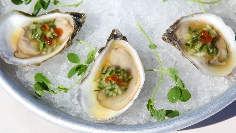 About – Matunuck Oyster Bar